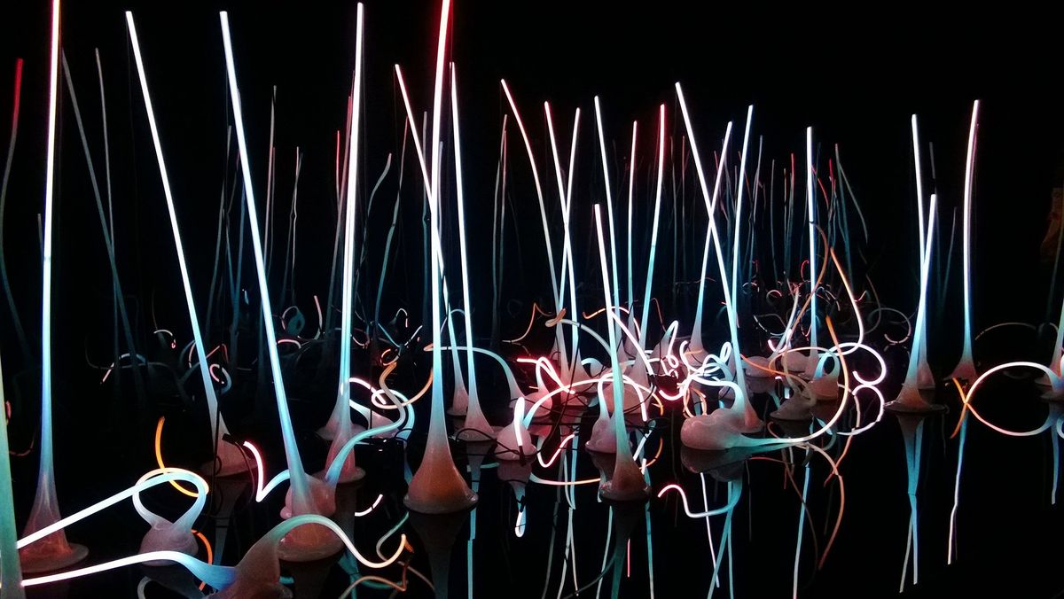 Weekly photo contest: Art | Windows Central