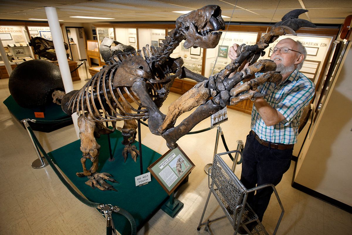 Photos: These animals used to be giants | Live Science