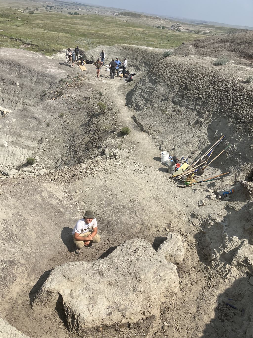 Kids discover extremely rare teen T. rex fossils sticking out of the ...