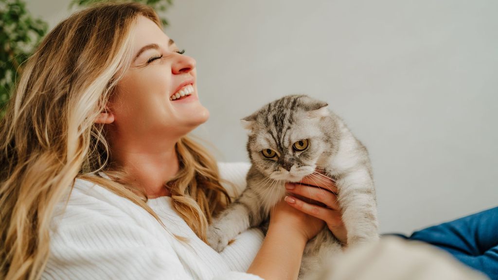 32 reasons cats are the perfect companions | PetsRadar