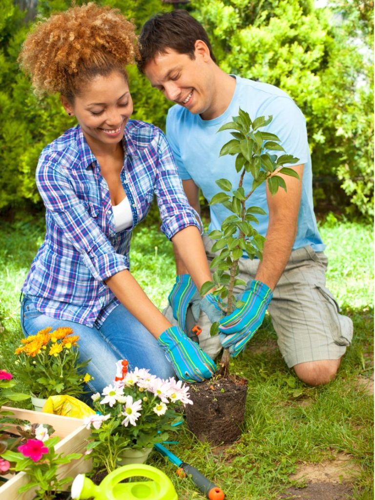 Gardening For Couples: Tips For Gardening With Your Partner | Gardening ...