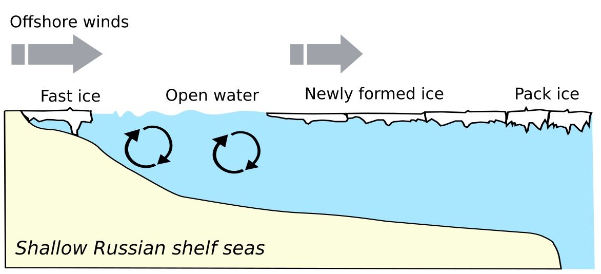 In Photos: A Conveyor Belt for Arctic Sea Ice | Live Science