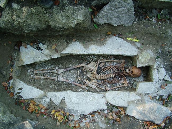 Vikings may not have been blonde, or Scandinavian | Live Science