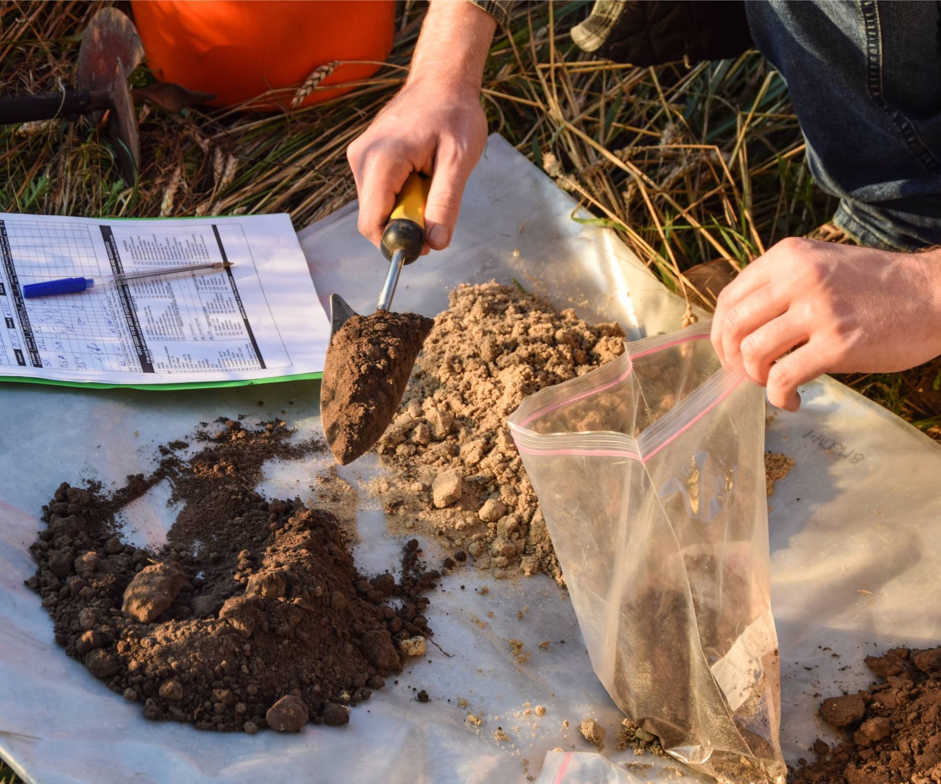 Soil Testing 101: Everything Gardeners Need To Know | Gardening Know How