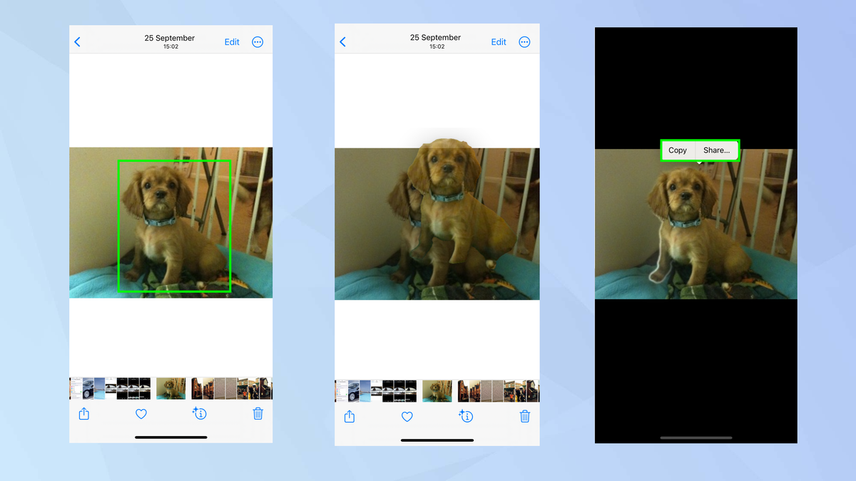 7 hidden tricks for new iPhone owners | Tom's Guide