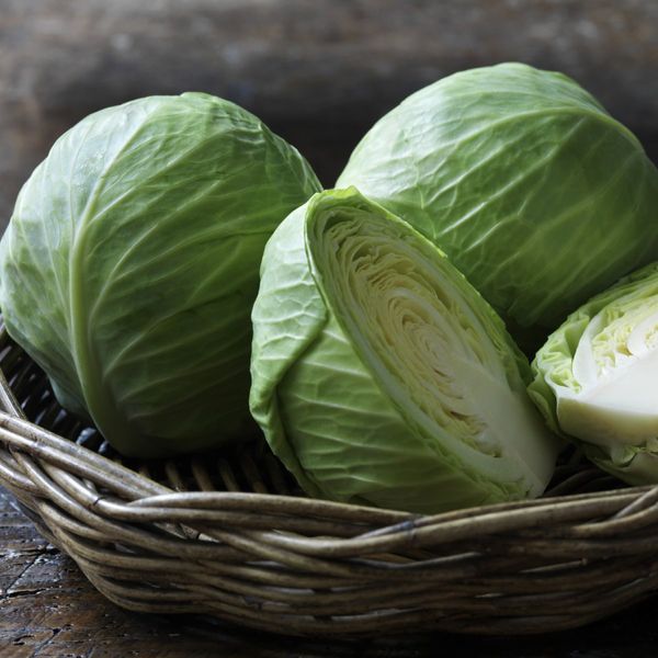 Tips & Information about Cabbage - Page 2 | Gardening Know How