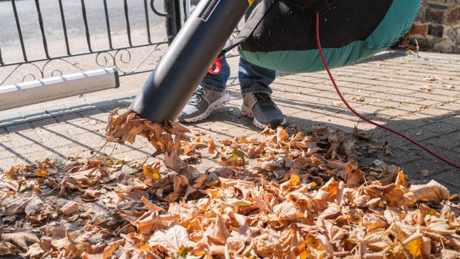 How to rake leaves the easy way — tips and tricks | Tom's Guide