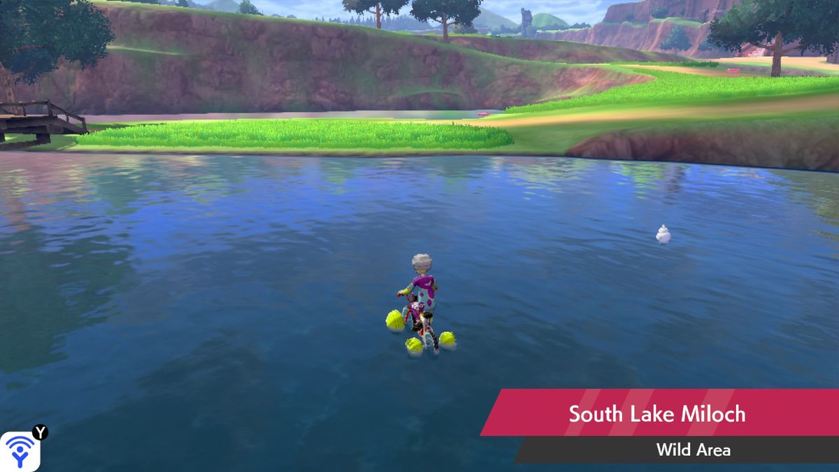 Pokemon Sword and Shield Wild Area guide and every Pokemon to catch in ...