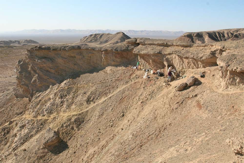 Image Gallery: Pile of Turtle Fossils Unearthed | Live Science