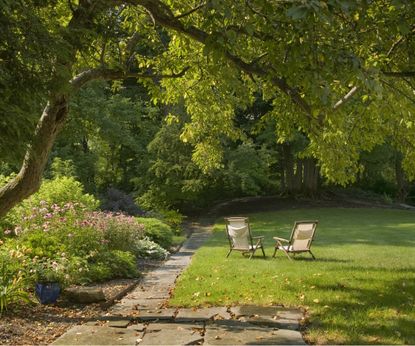 How to get grass to grow under trees: Expert tips | Homes and Gardens