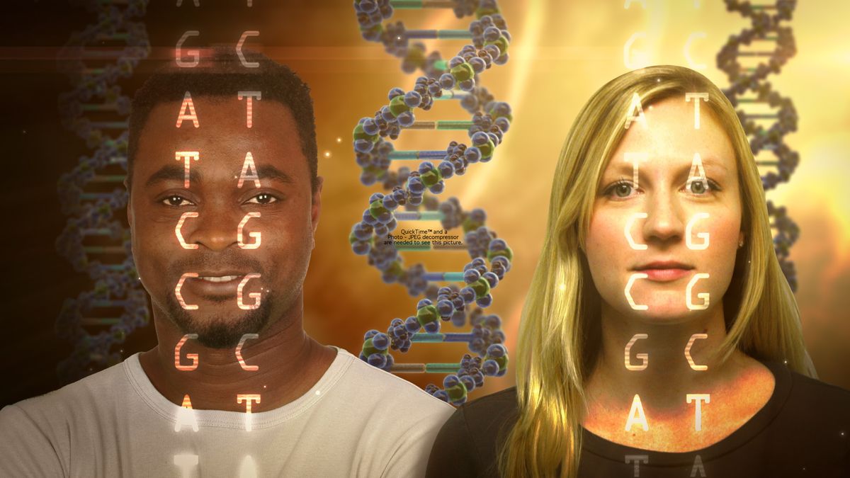 PBS' 'Nova' Applies Pixeldust to Genetics | Next TV | Broadcasting+Cable
