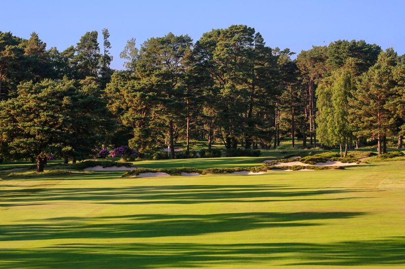 Ferndown Golf Club Old Course Review, Green Fees, Tee Times and Key ...