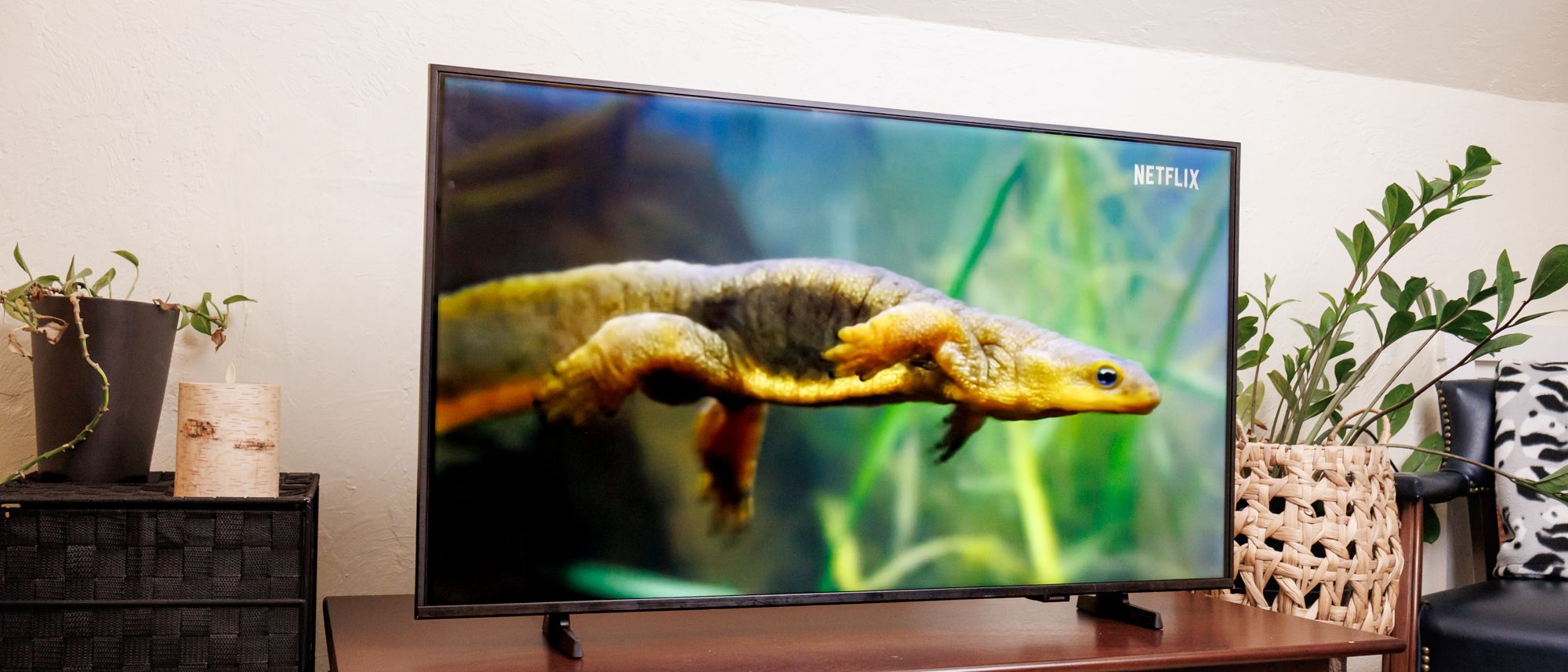 Samsung F6000F LED TV review: a small, barebones 1080p TV | Tom's Guide