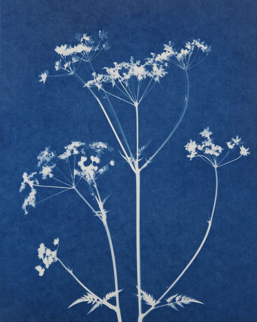 The history of photography dates back to 400BC | Digital Camera World