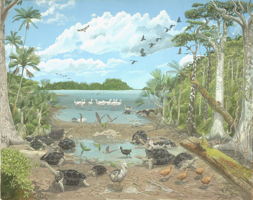 In Images: Wacky Animals That Lived on Mauritius | Live Science