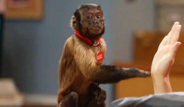 The 20 Best Community Characters, Ranked | Cinemablend