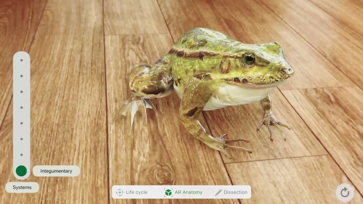 How To Setup Virtual Reality Or Augmented Reality In Schools | Tech ...