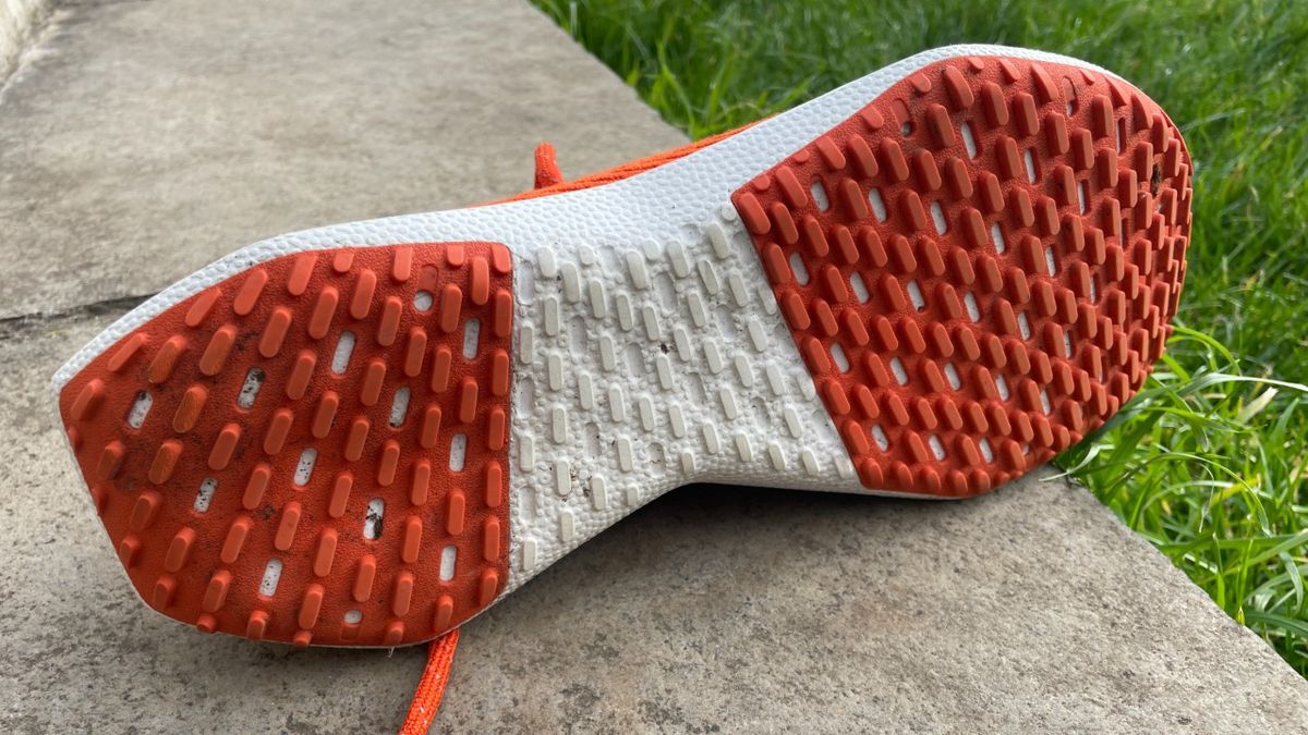 Allbirds Tree Dasher 2 Review | Coach