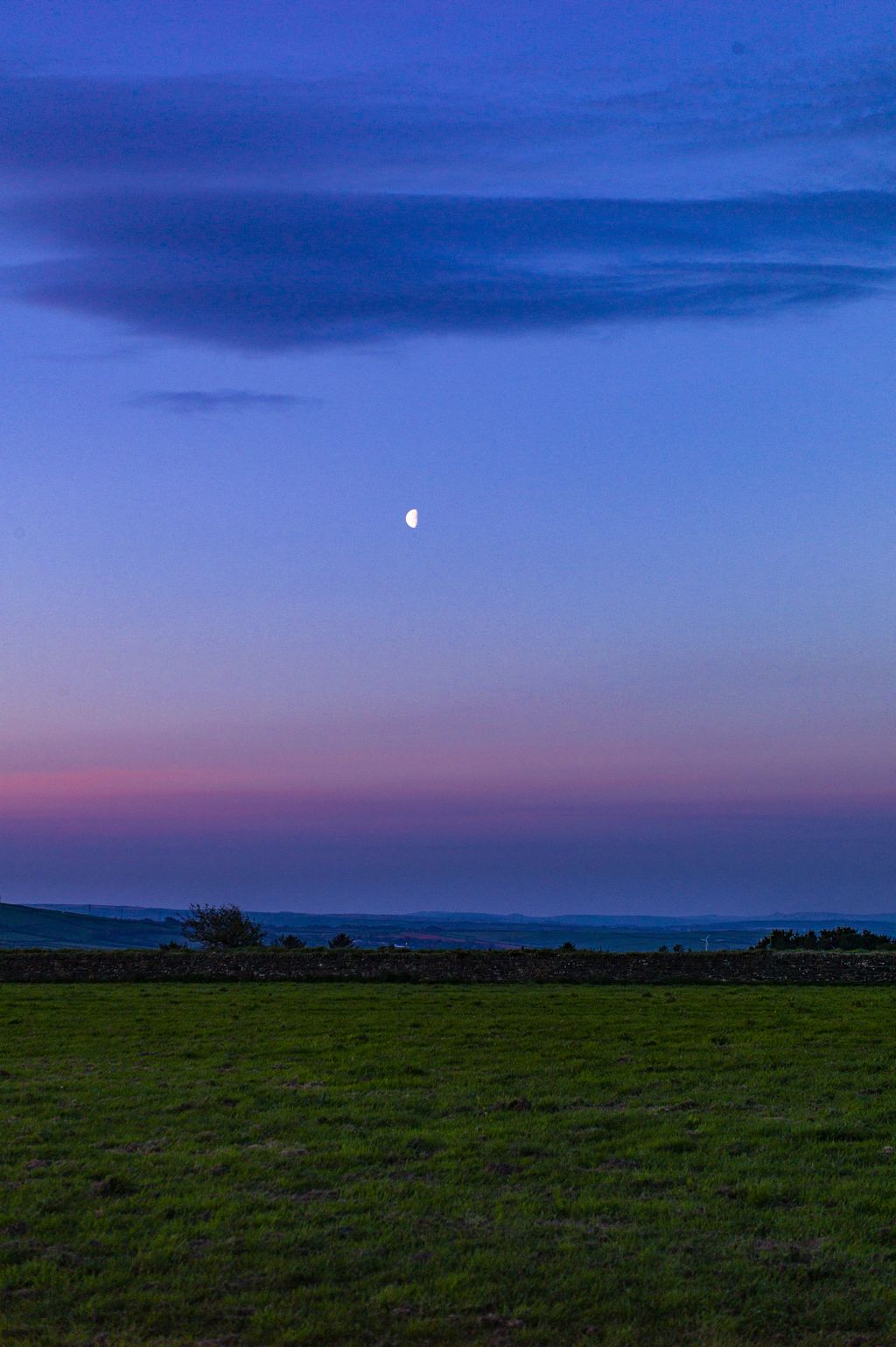 I think CCD sensors are STILL the best, so I'm selling all my CMOS ...