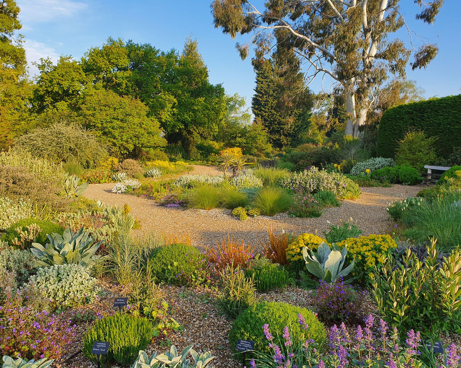 Garden ideas: 31 beautiful designs you'll love for your yard | Homes ...