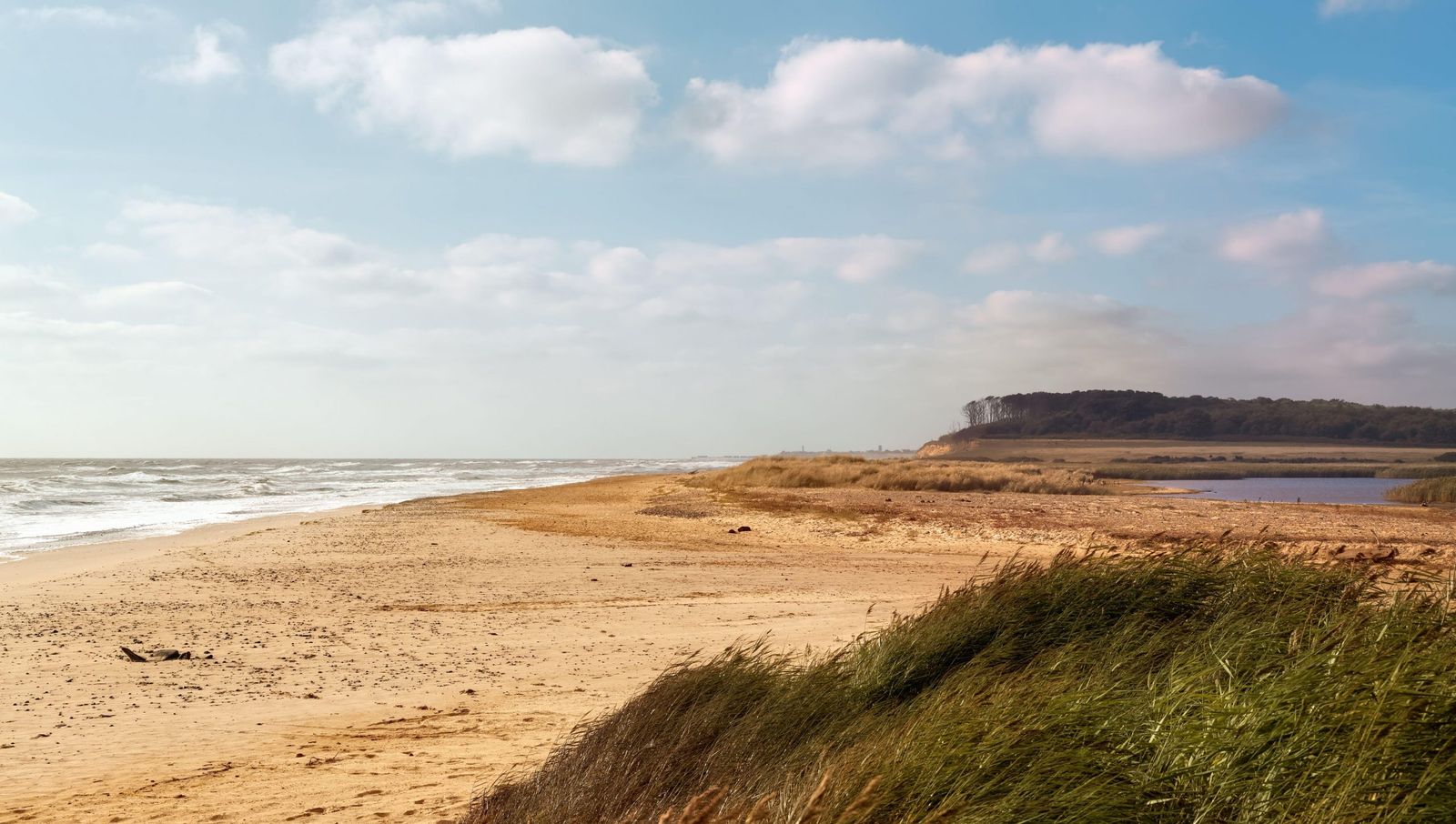 The Country Life guide to Suffolk: Where to go, what to see, where to ...