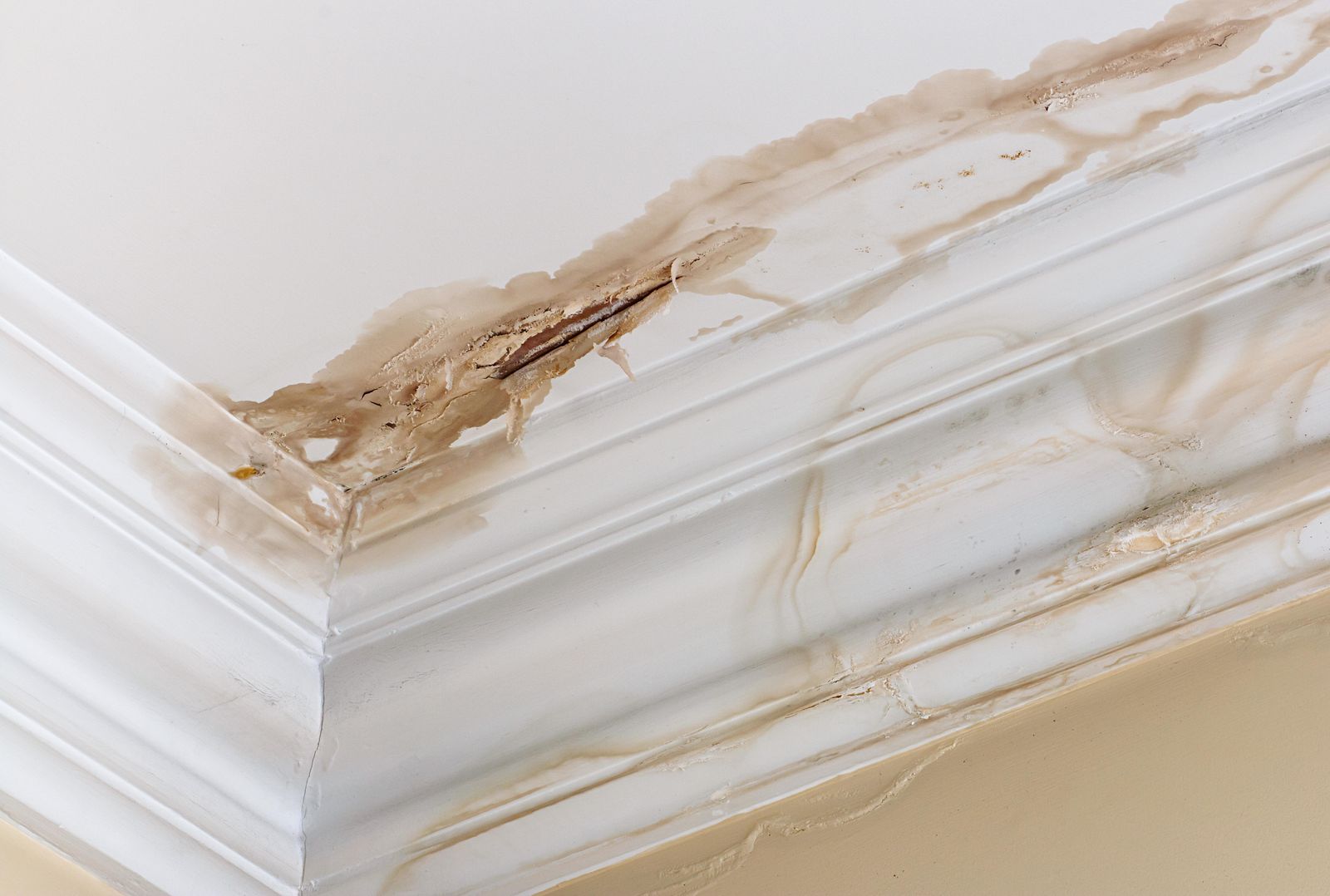 How to fix a ceiling leak: a step-by-step guide | Homes and Gardens