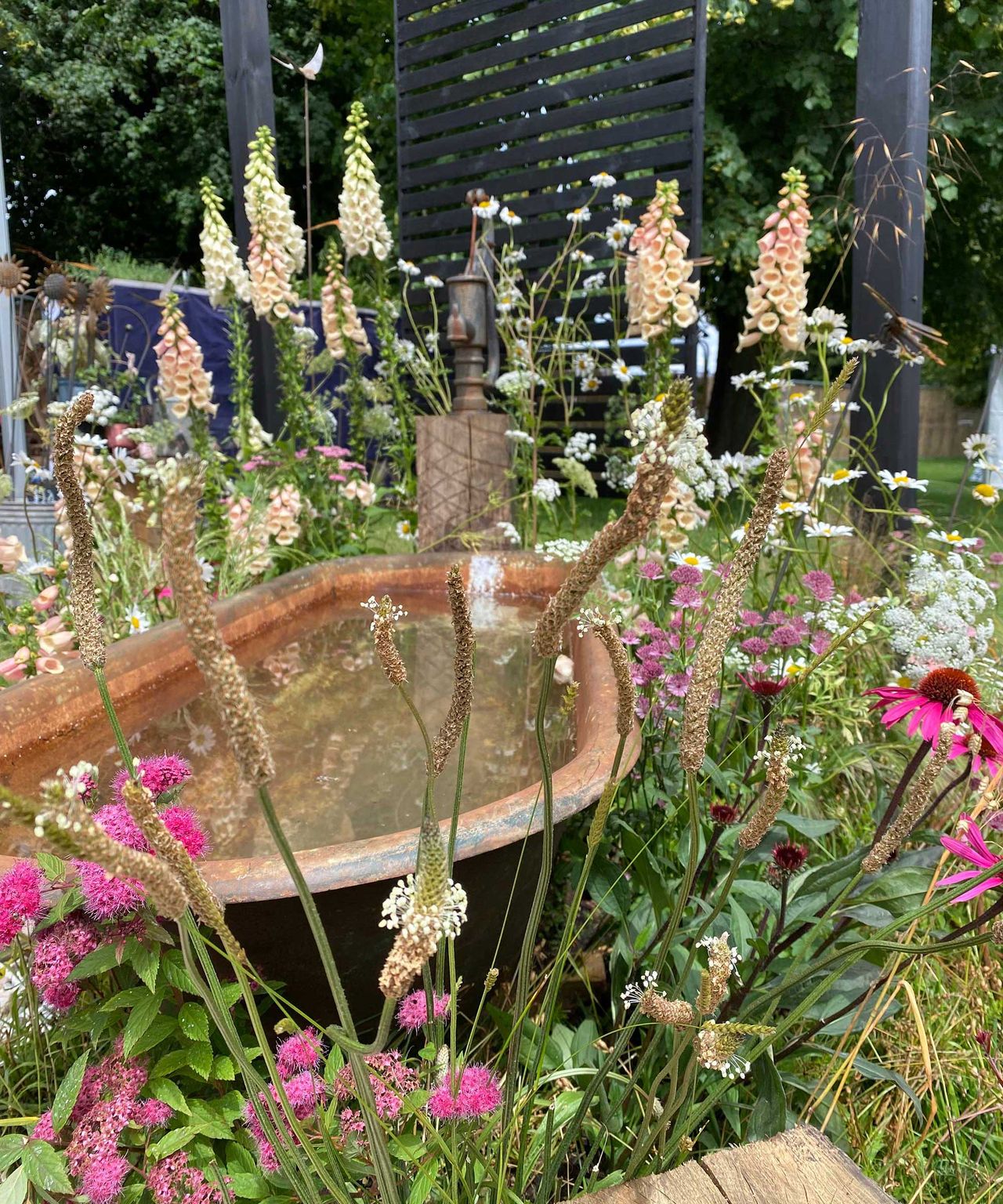 Homemade water feature ideas you can DIY: 10 easy projects to try ...