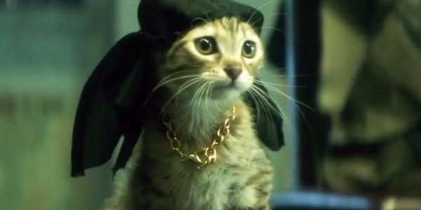 The Awesome Reason Keanu Tried To Avoid CGI Kittens | Cinemablend