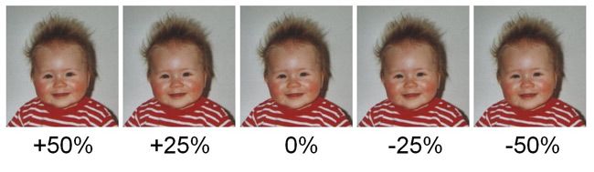 8 Is Enough: The Limits to Human Reproduction | Live Science