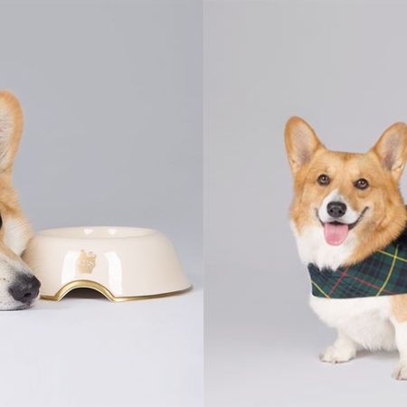 Articles by Kayleigh Roberts, Weekend Editor at Cosmopolitan | Marie Claire