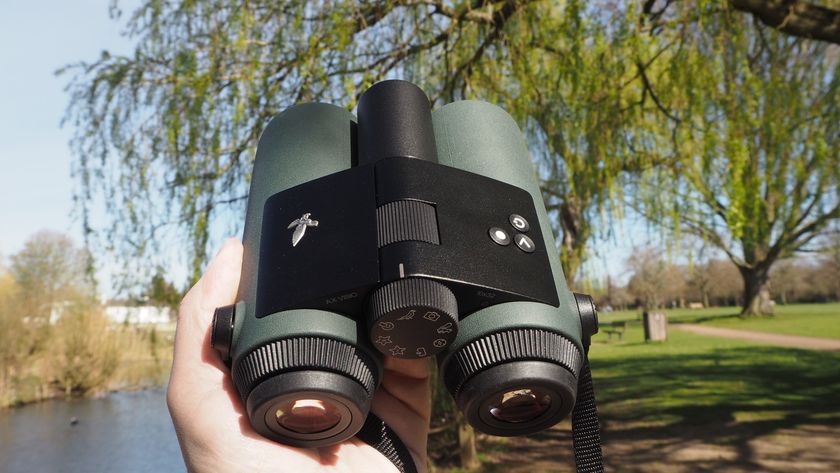 Best binoculars for bird-watching 2025: Eyes on the skies | Live Science