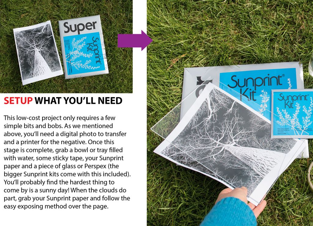 Home photography ideas: How to make a sunprint in just 30 minutes ...