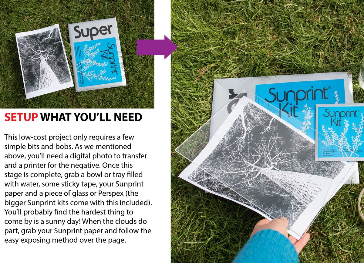 Home photography ideas: How to make a sunprint in just 30 minutes ...
