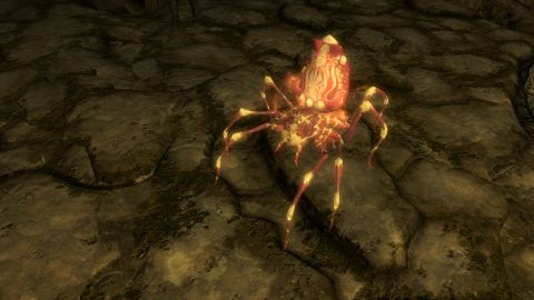 Yep, Skyrim has spider grenades | PC Gamer