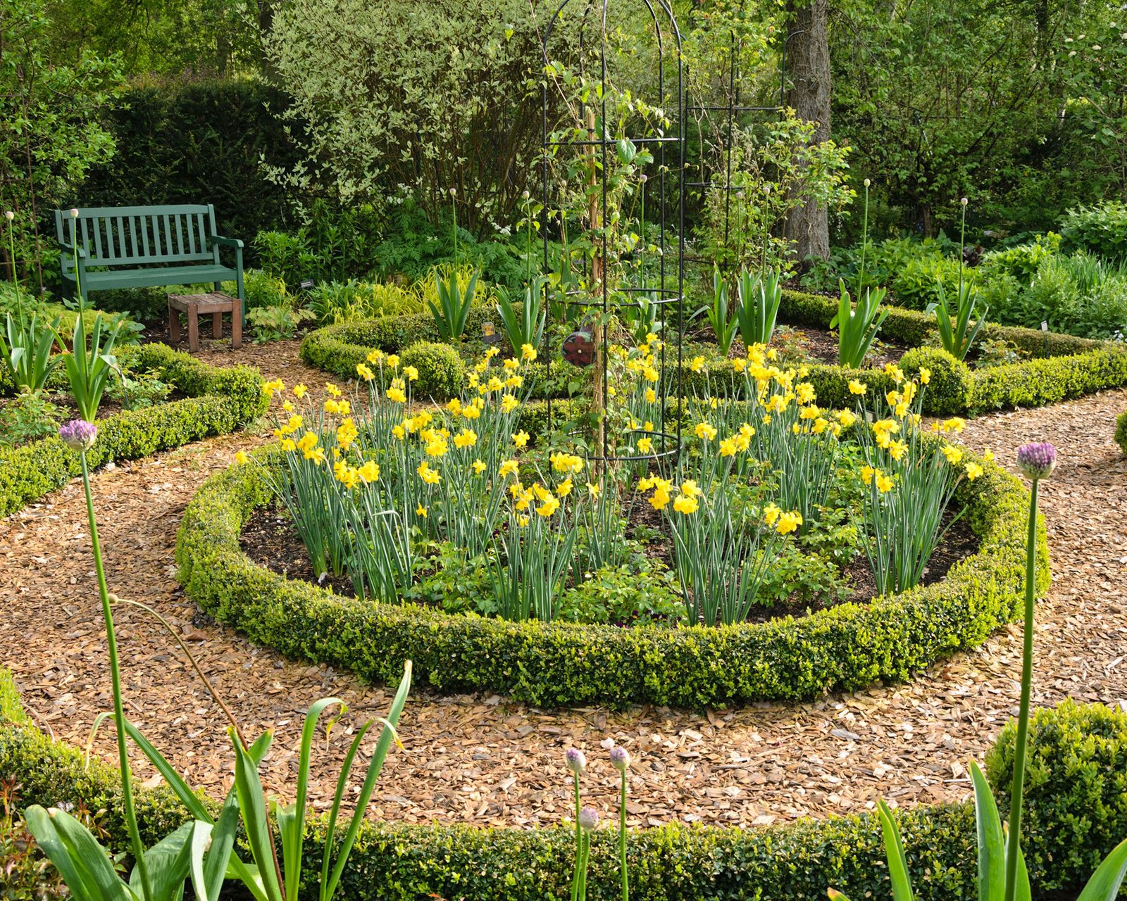 Landscaping with wood chips: 13 expert ways to use them | Gardeningetc