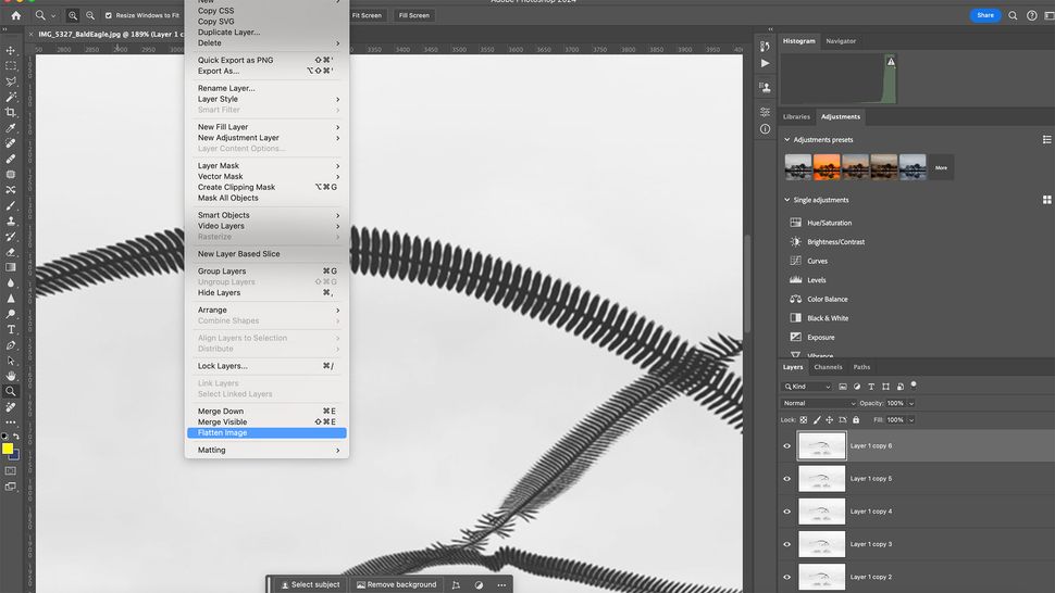Wildlife photography with a twist: Capture birds in flight with this ...