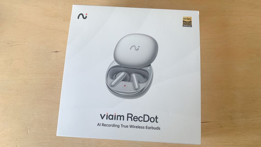 Viaim RecDot Earbuds review: AI recording and transcription that will ...