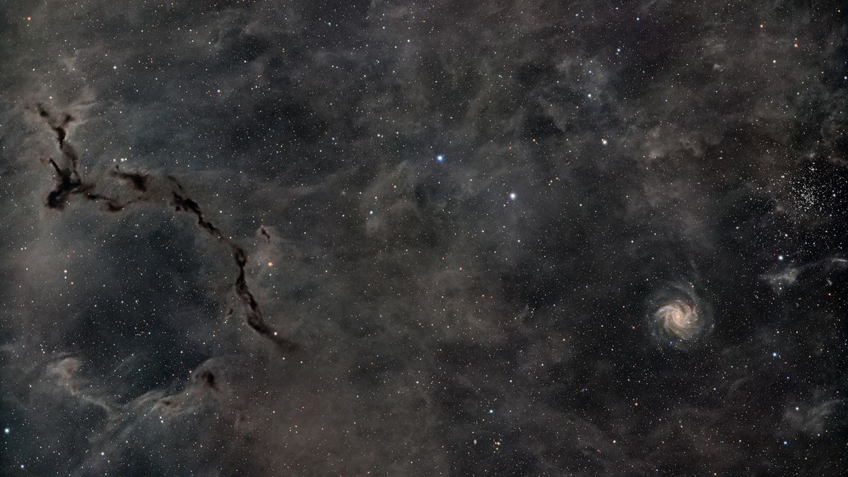 Astrophotographer captures galactic fireworks near the Seahorse Nebula ...