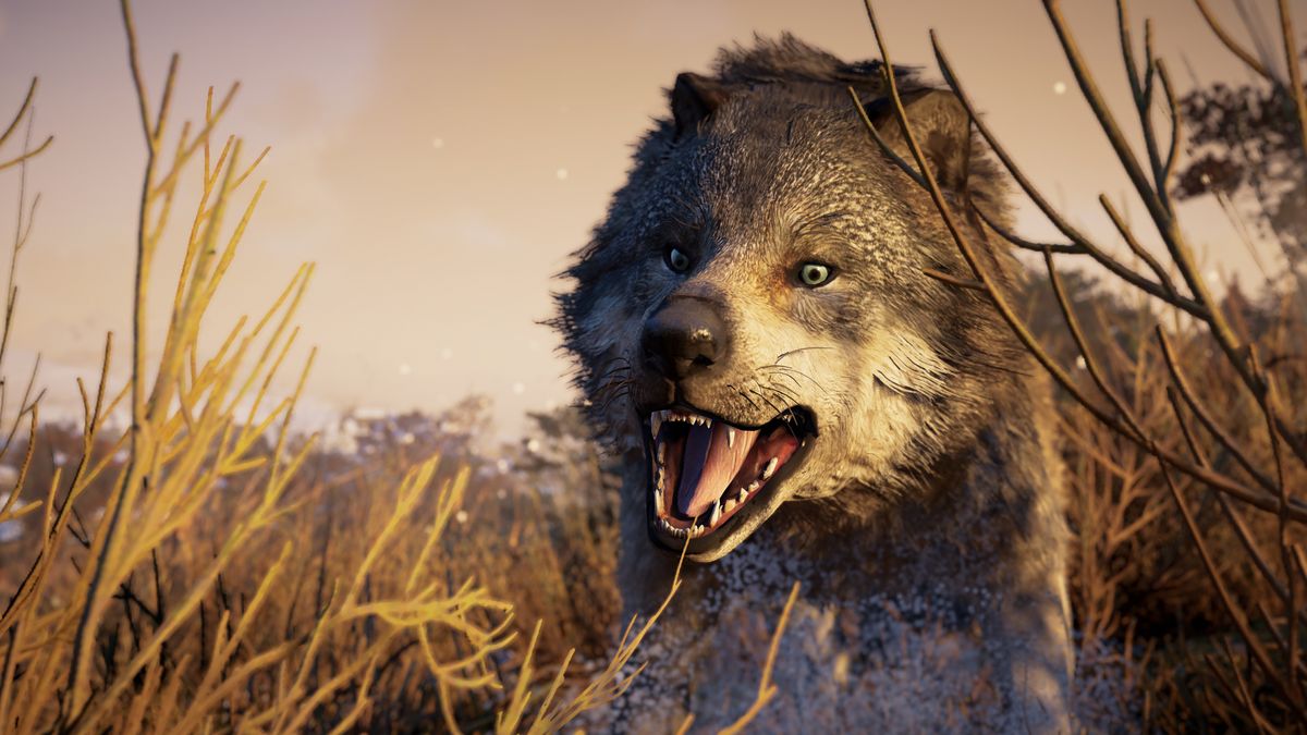 Every animal I've seen in Assassin's Creed Valhalla, rated | PC Gamer