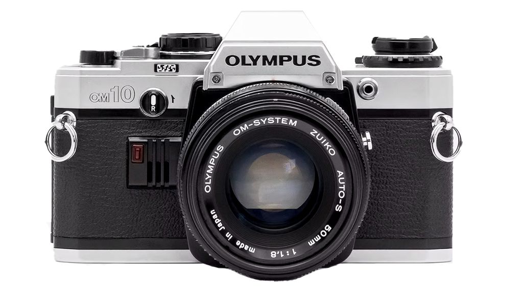 Thrift store Olympus film camera is finally developed, revealing ...