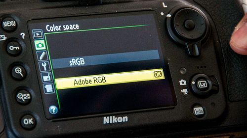 Understanding your camera's white balance (and when to change it) | Digital Camera World