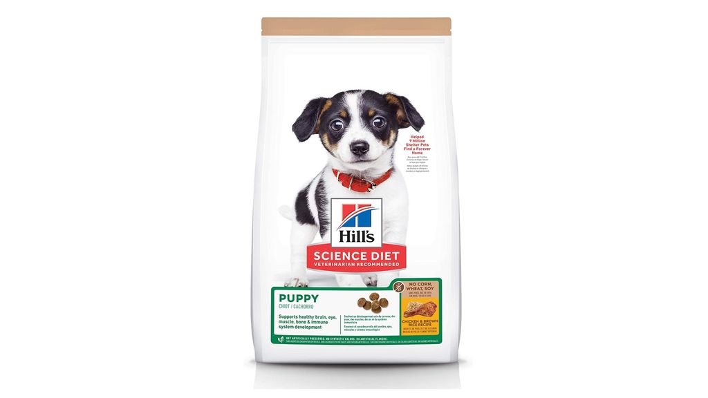 Best puppy food: Give your pup the best start in life | PetsRadar