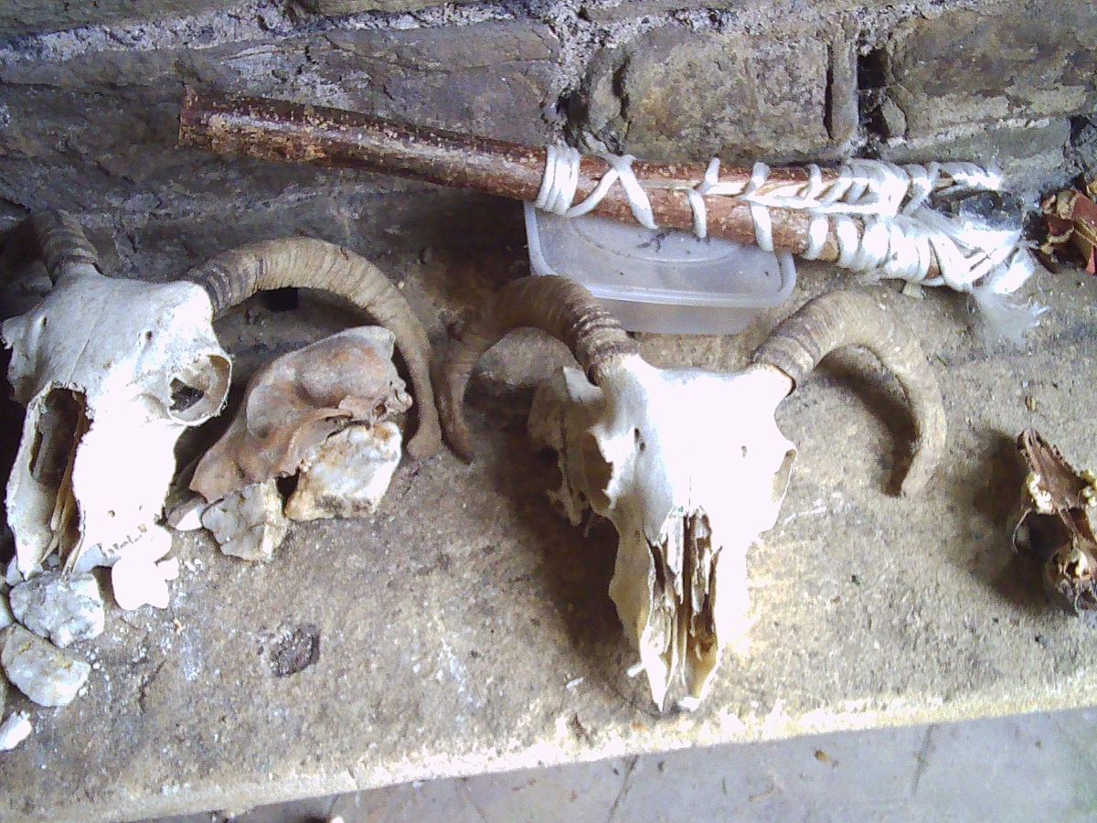 Mutrain X10 Digital Camera review: is this the worst camera ever ...