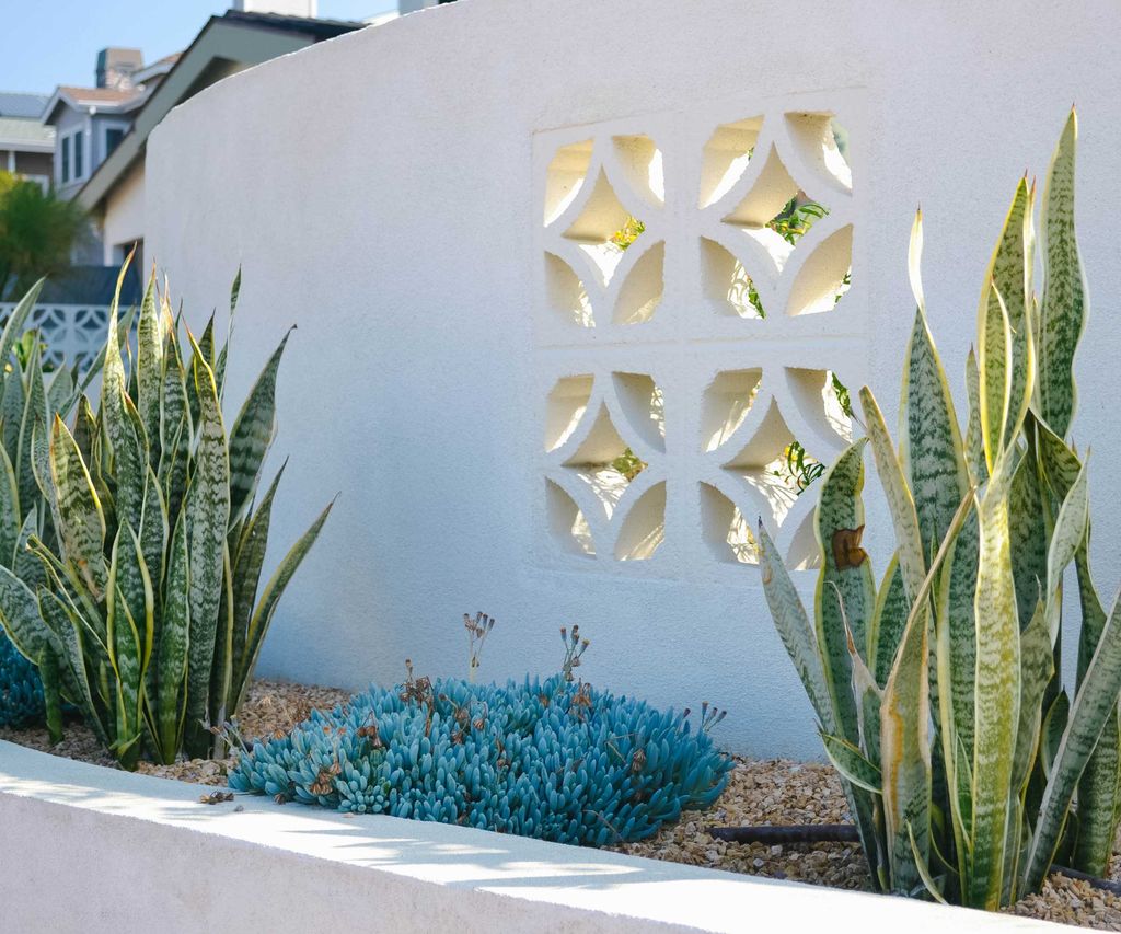 Front yard privacy ideas: 10 stylish screening methods | Homes and Gardens
