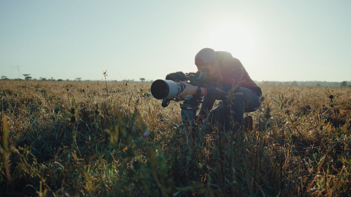 How a 12K camera is capturing the heroic efforts of anti-poaching ...