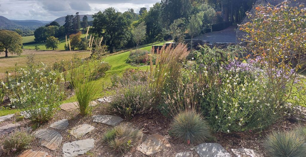 The ultimate guide to garden design for beginners by experts | Woman & Home