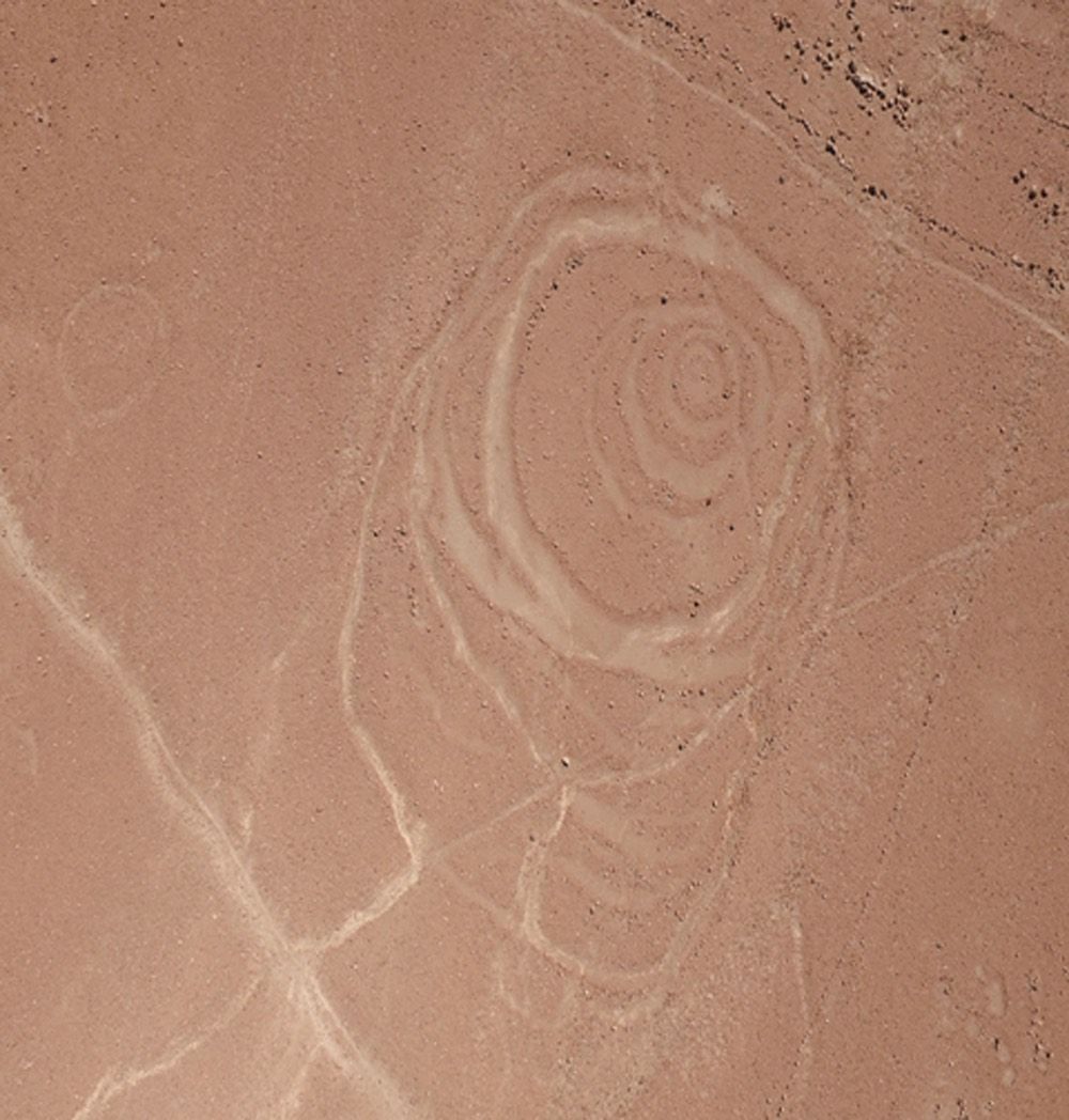 Ring-Shaped Geoglyphs Found Near Ancient Town in Peru | Live Science