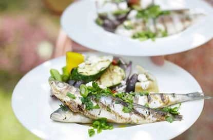 Vitamin D foods: Foods that provide the most vitamin D | GoodTo