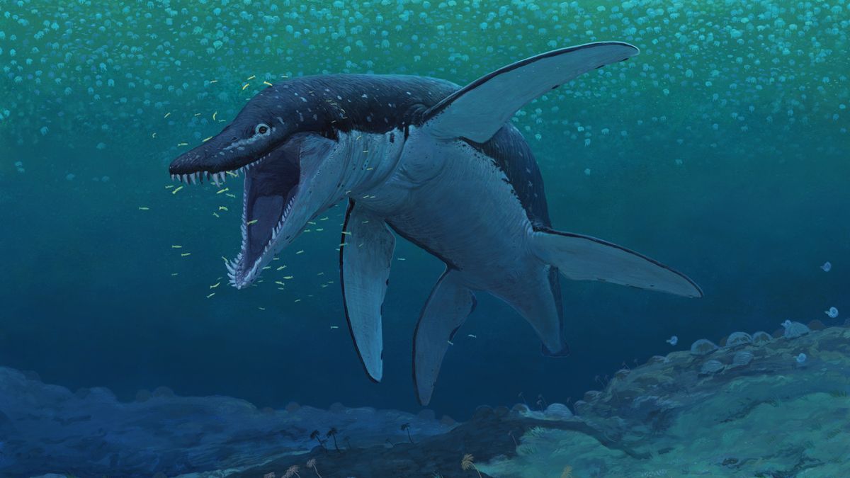 Jurassic pliosaur 'megapredator' was a giant 'sea murderer' | Live Science