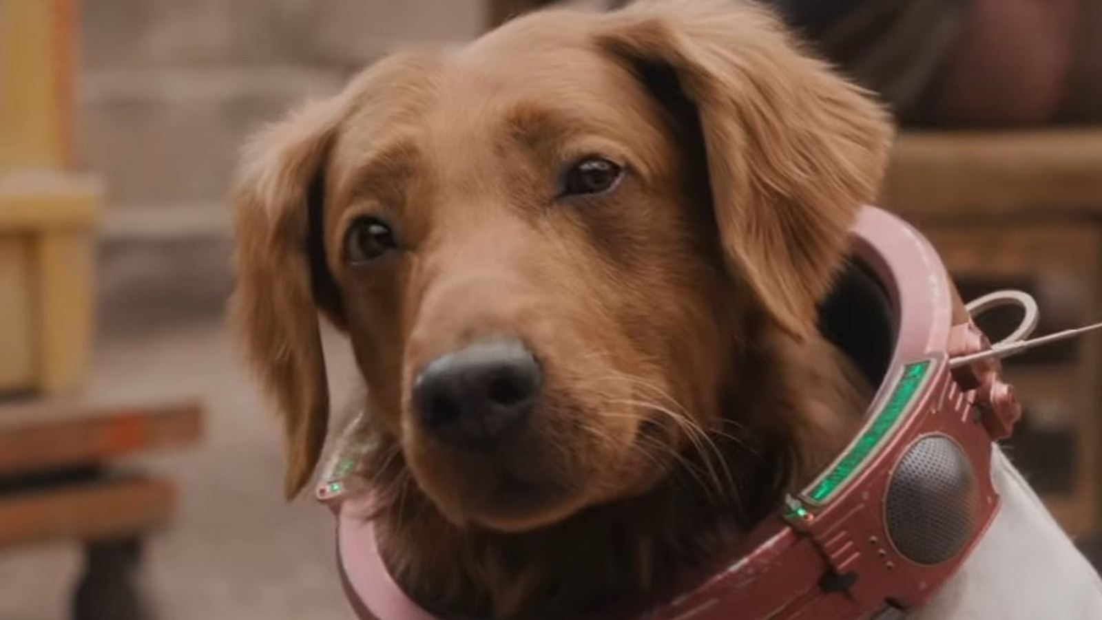 Who Is Cosmo The Spacedog All You Need To Know About Guardians Of The